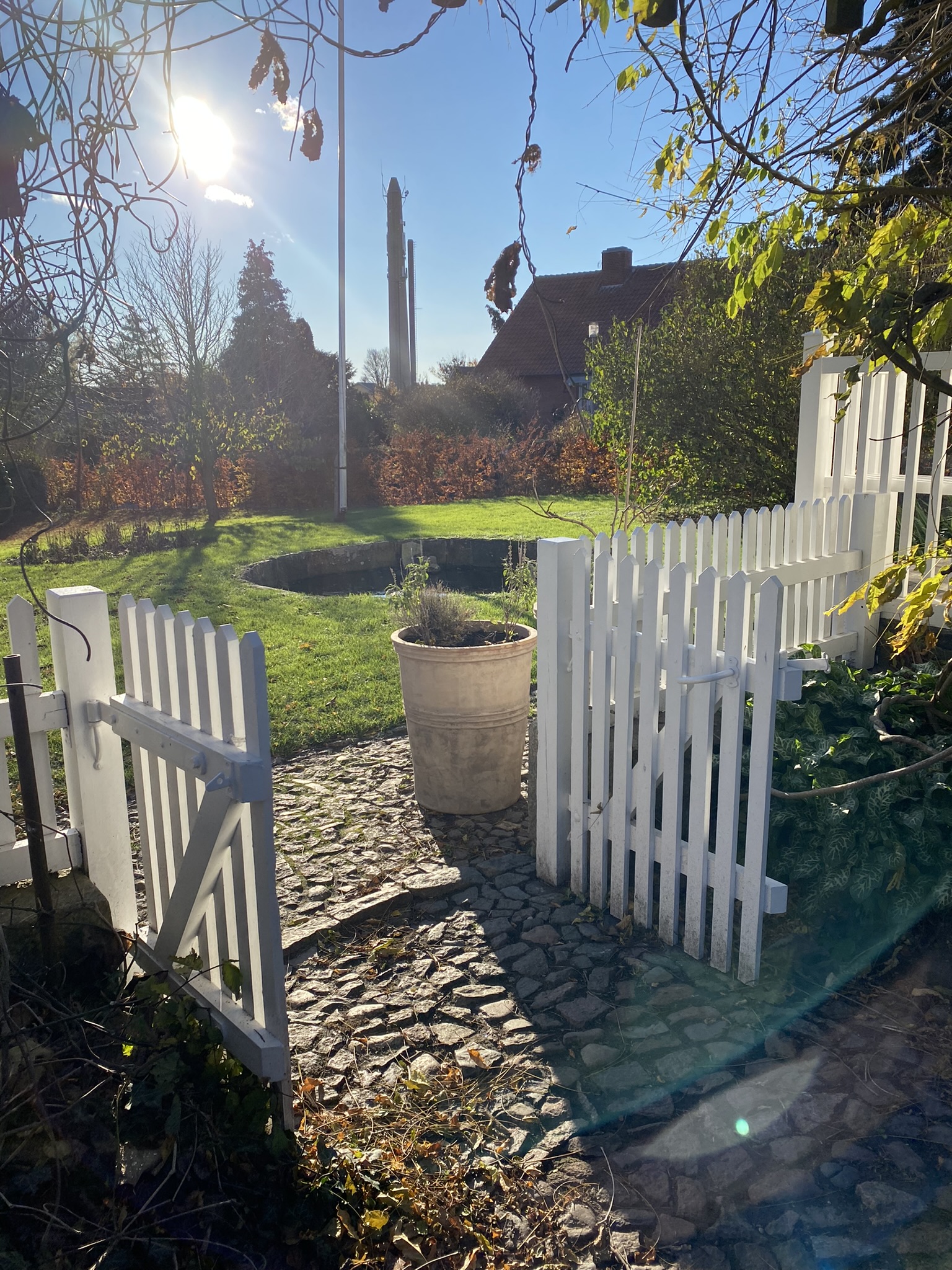 Johannes Larsen, the Danish Bird Painter – From one Heart to Another