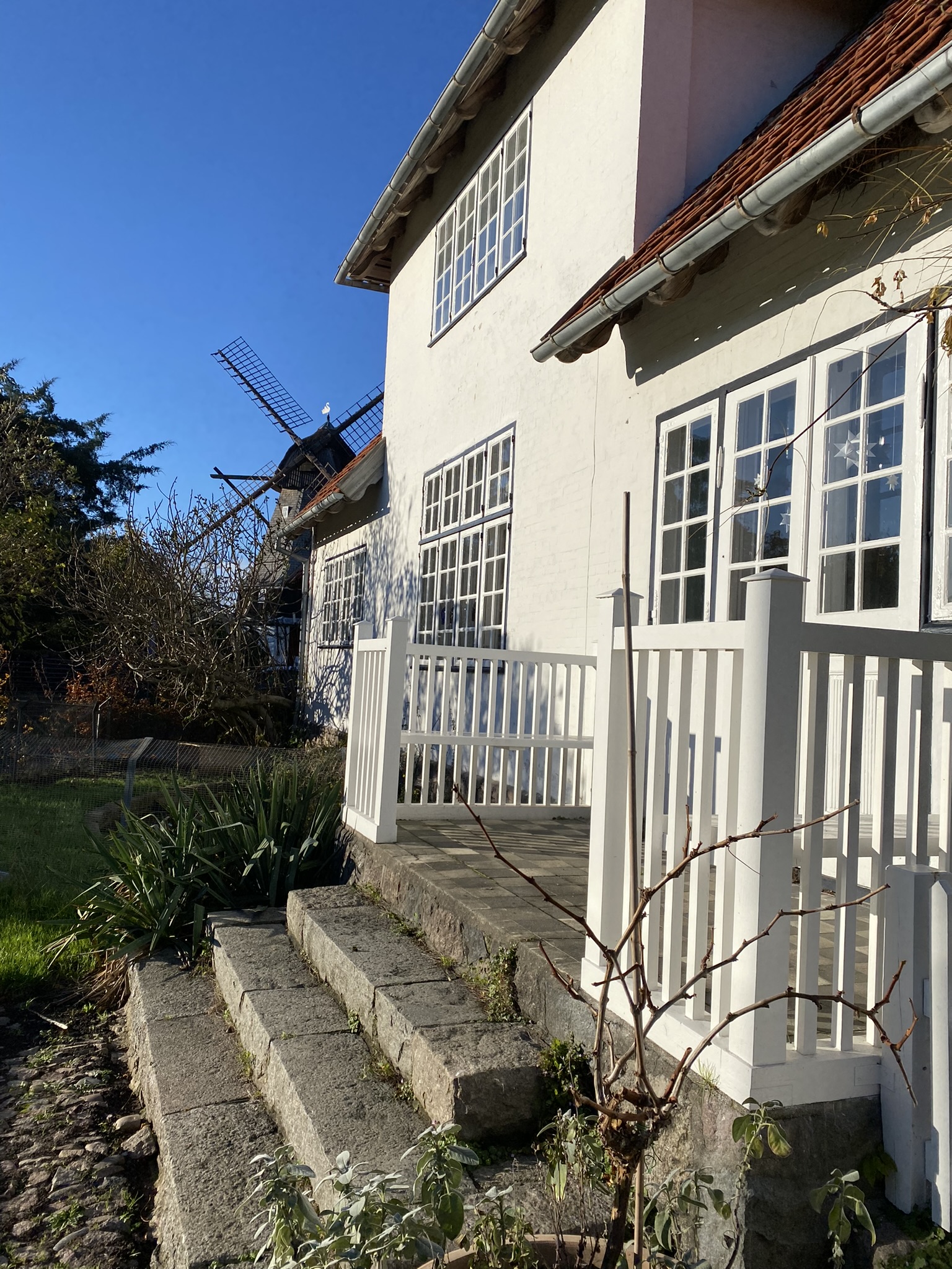 Johannes Larsen, the Danish Bird Painter – From one Heart to Another